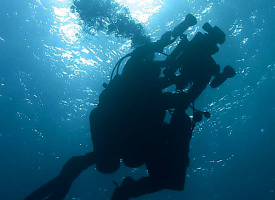 Who We Are - Oceans Project Marine Protection and Restoration